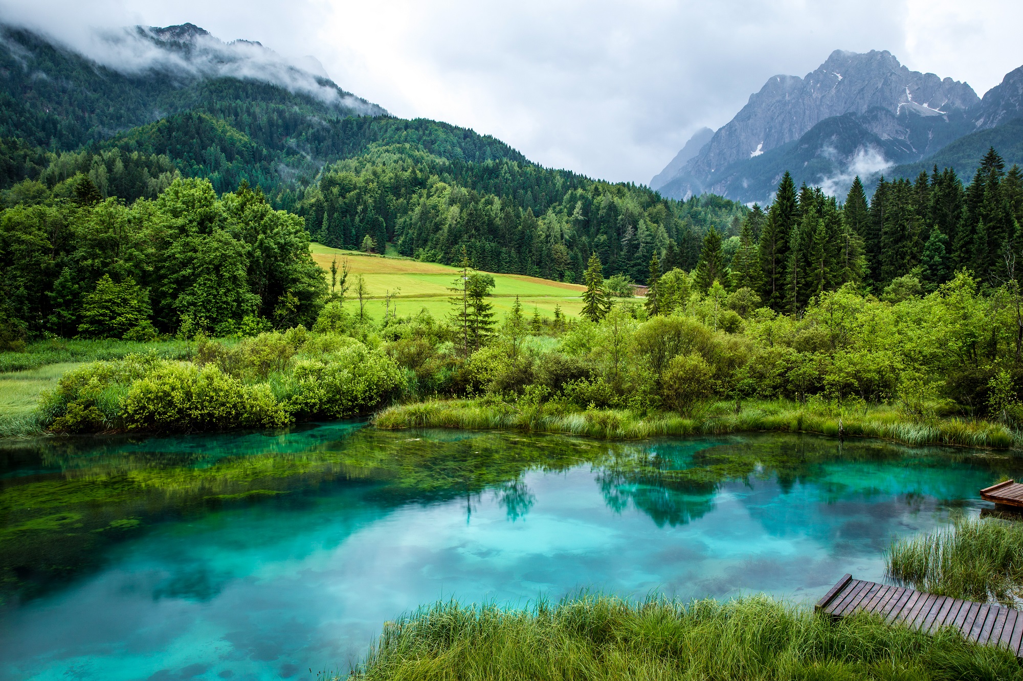 Slowenien - ein Schmuckstück für eure Bucketlist | Urlaubsguru
